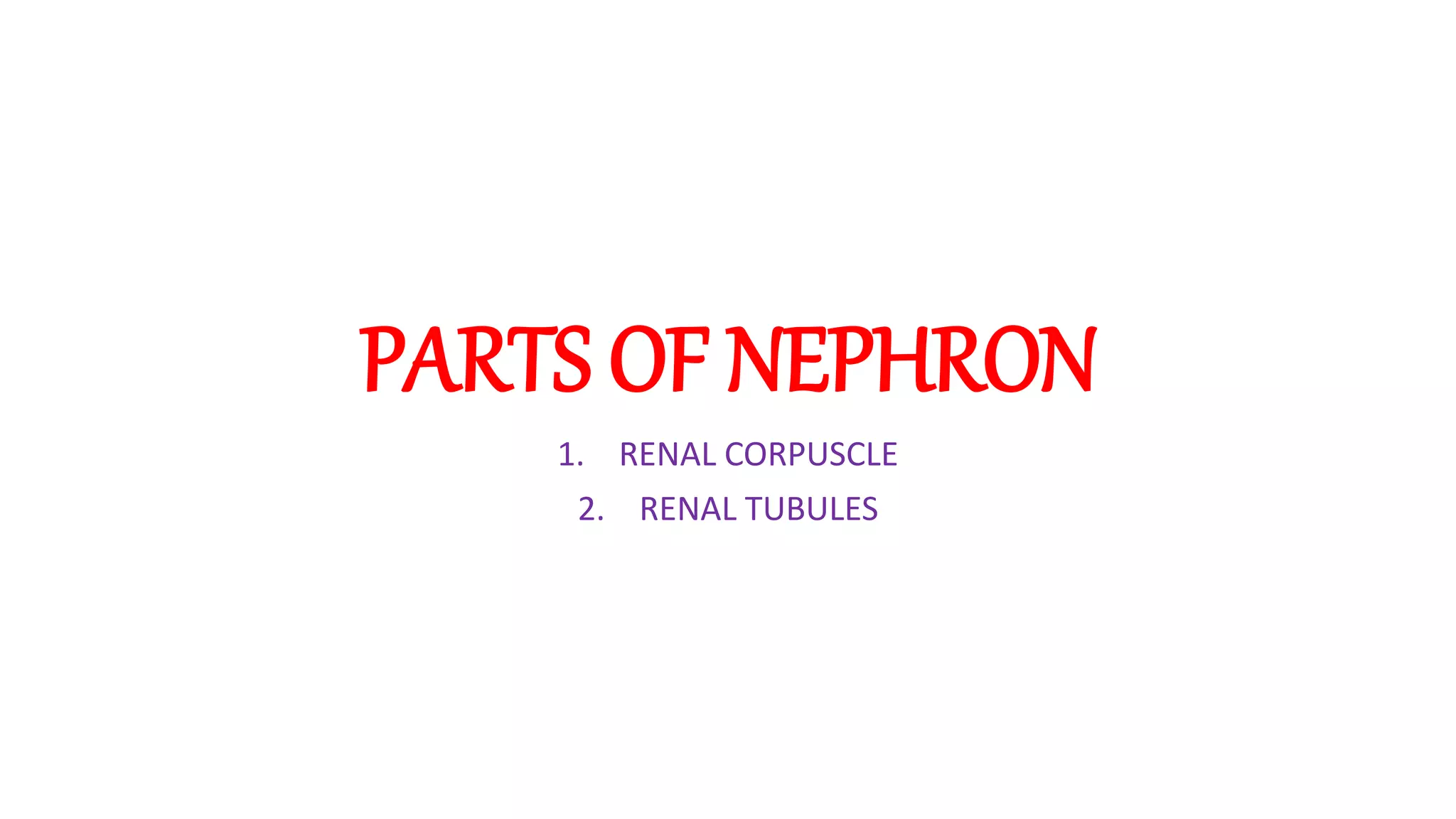 Nephron (The Guyton and Hall physiology) | PPTX