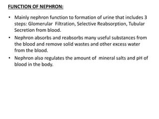 NEPHRON.pptx