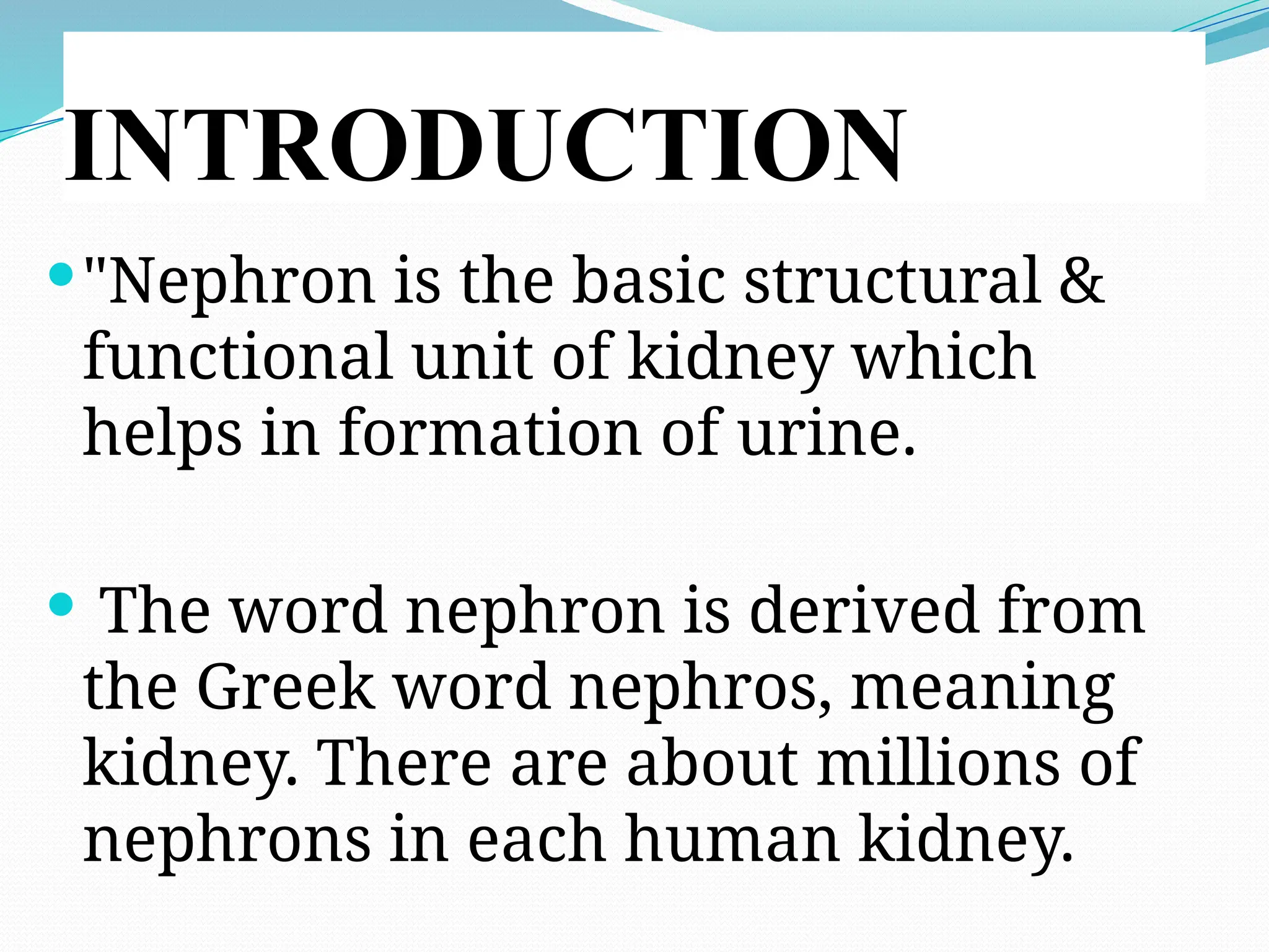 nephronis also known as the unit of kidney | PPTX