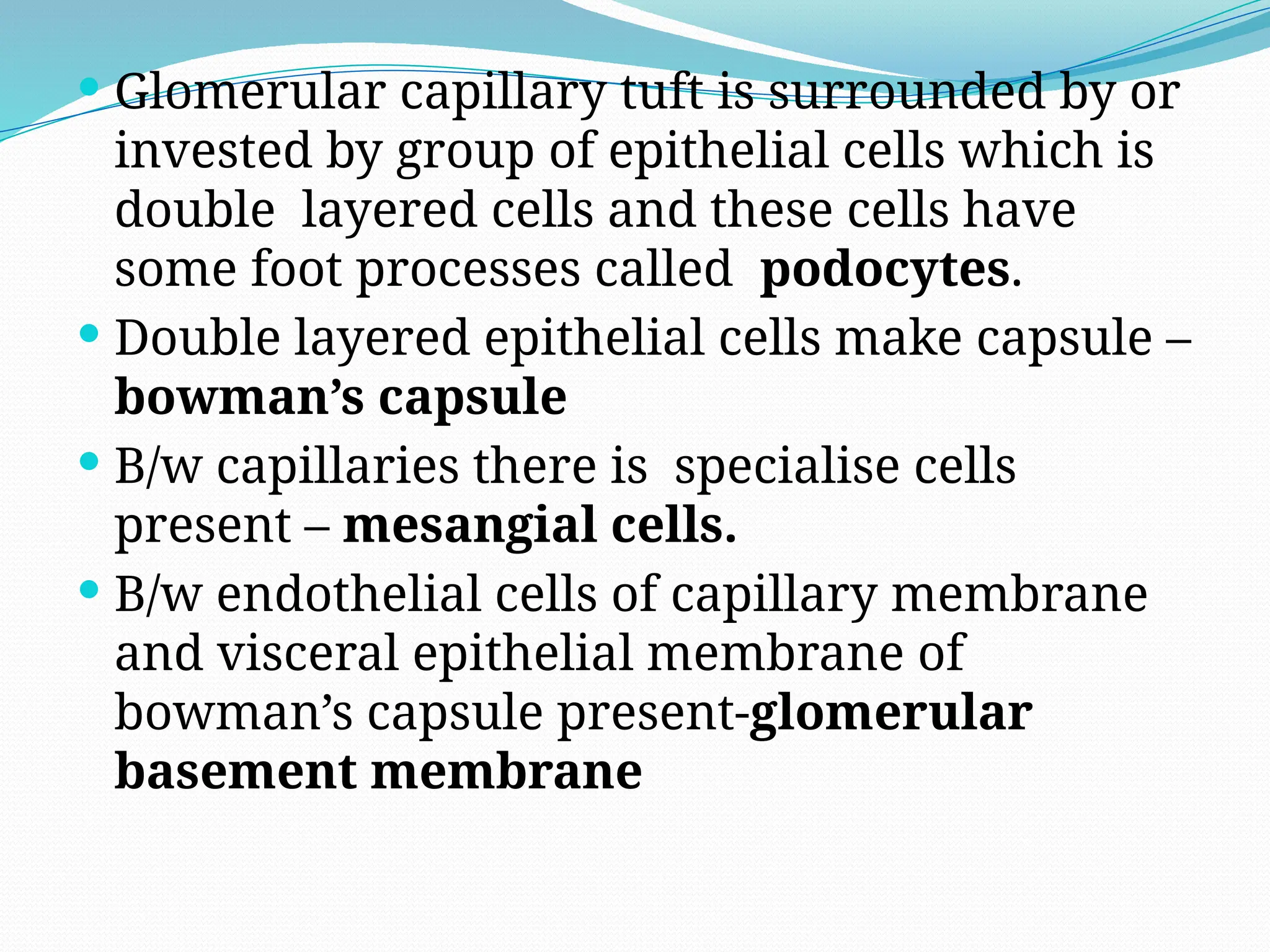 nephronis also known as the unit of kidney | PPTX