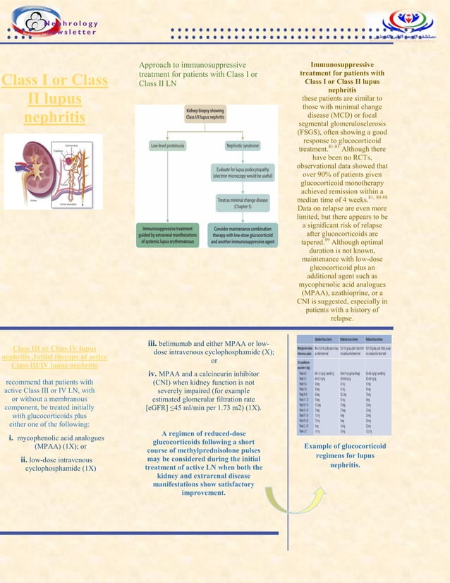 nephro newsletter final ...pdf
