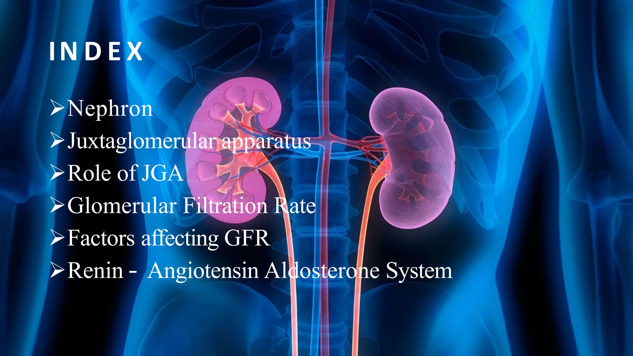 Nephron Ultrastructure and GFR (1).pptx