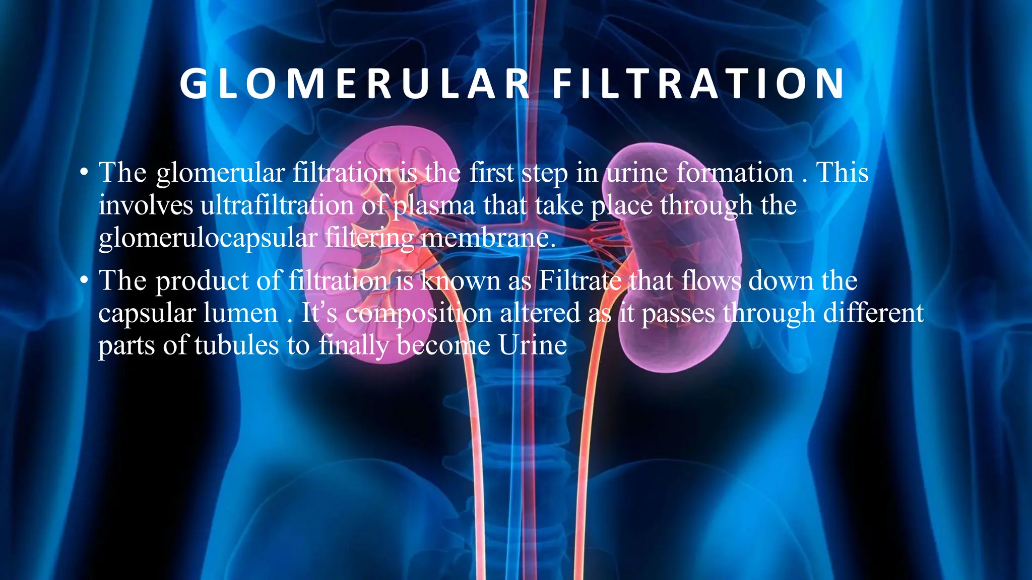 Nephron Ultrastructure and GFR (1).pptx
