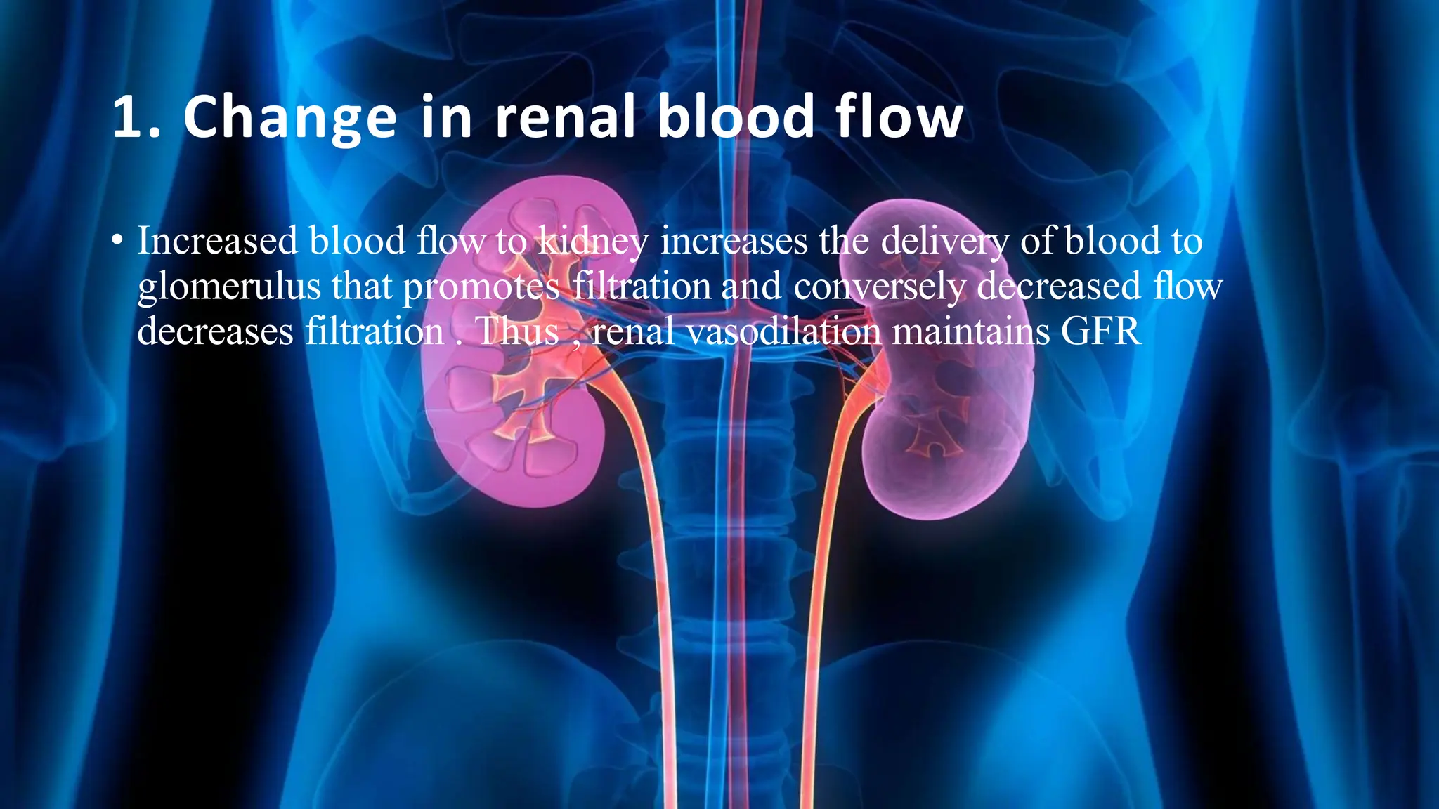 Nephron Ultrastructure and GFR (1).pptx