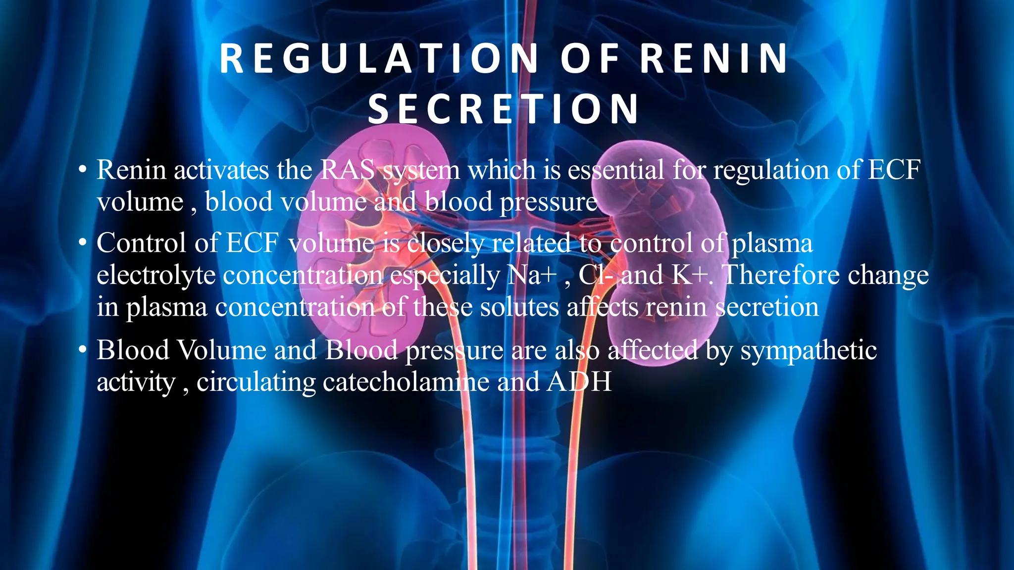 Nephron Ultrastructure and GFR (1).pptx