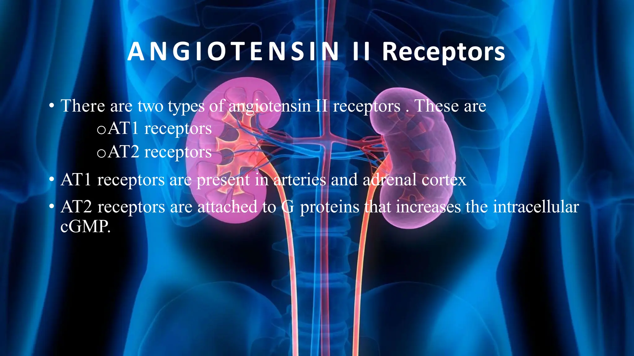 Nephron Ultrastructure and GFR (1).pptx
