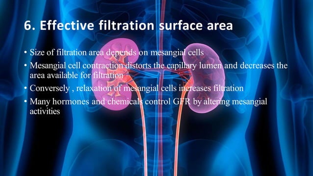 Nephron Ultrastructure and GFR (1).pptx
