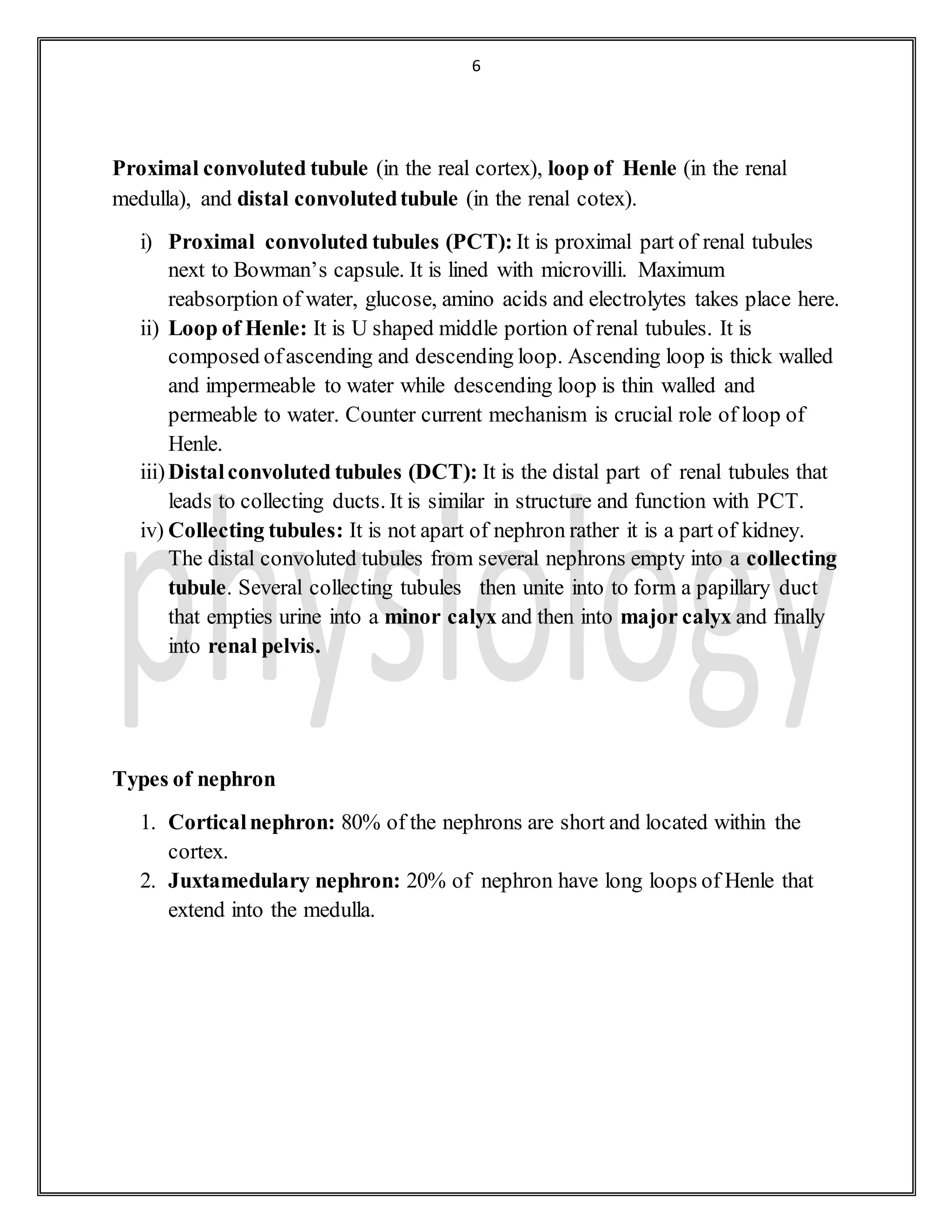Nephron structure & Urine formation | DOCX