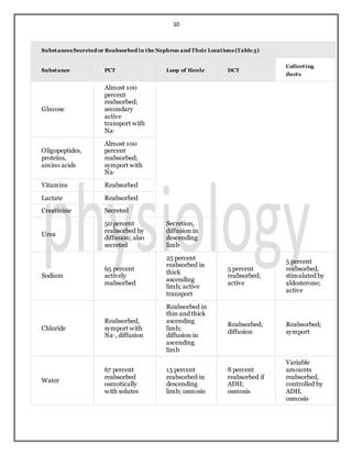 Nephron structure & Urine formation | DOCX