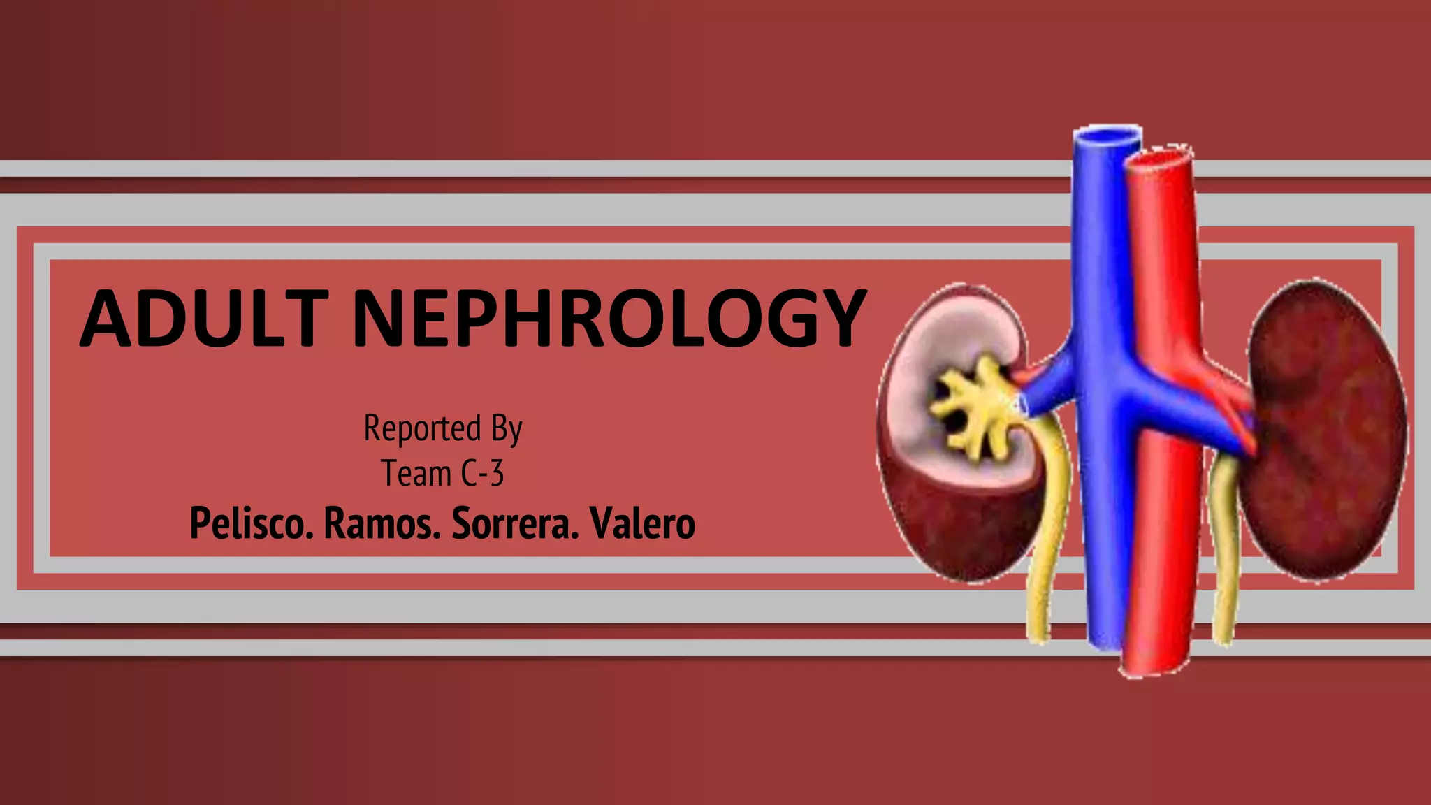 NEPHRO REPORT.pptx