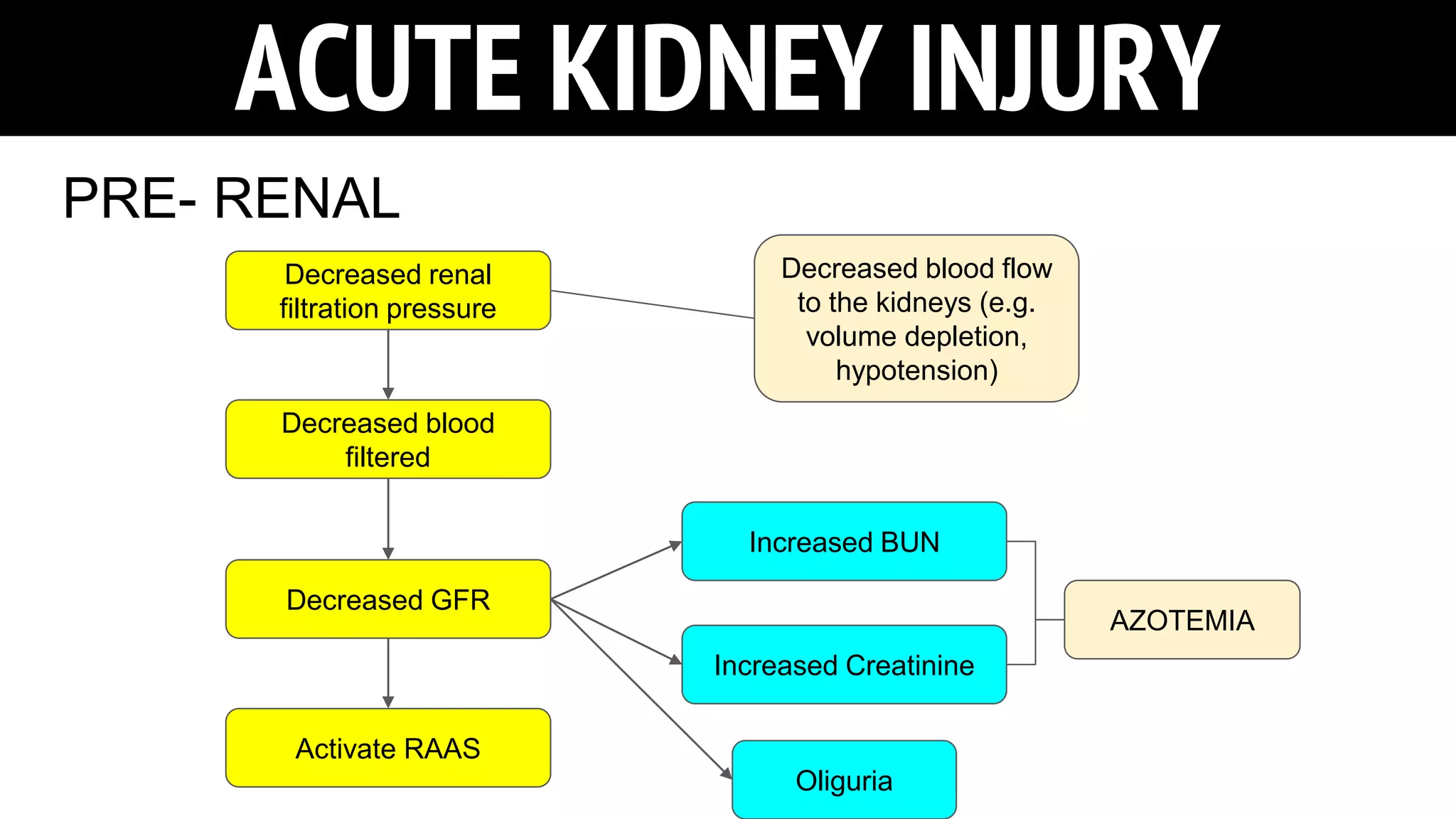 NEPHRO REPORT.pptx
