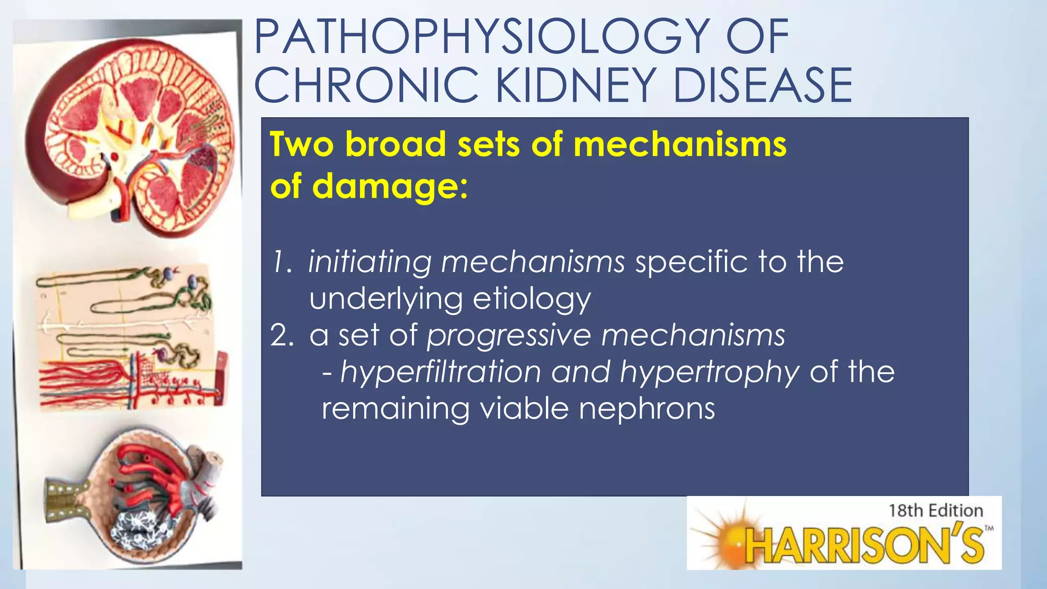 Chronic Kidney Disease, CKD, Nephrology, | PPTX
