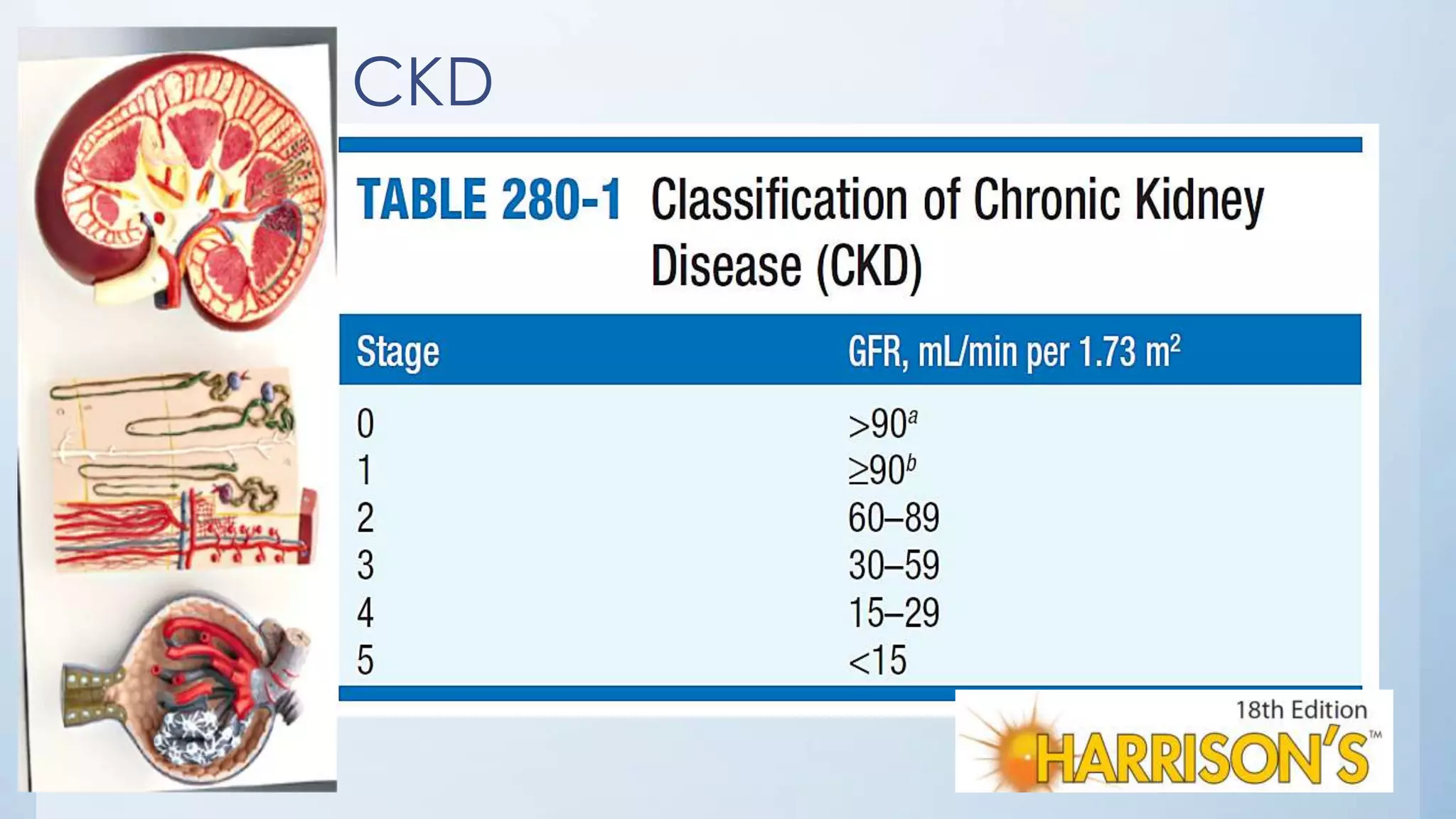 Chronic Kidney Disease, CKD, Nephrology, | PPTX
