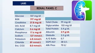 Chronic Kidney Disease, CKD, Nephrology, | PPTX