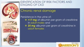 Chronic Kidney Disease, CKD, Nephrology, | PPTX