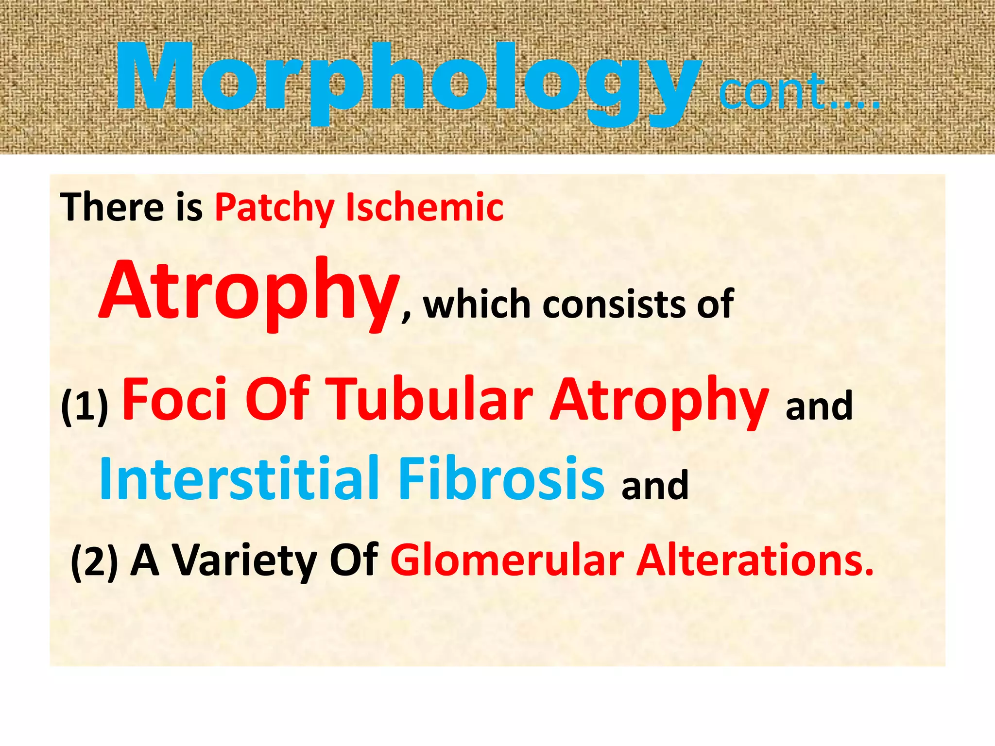 Nephrosclerosis | PPTX