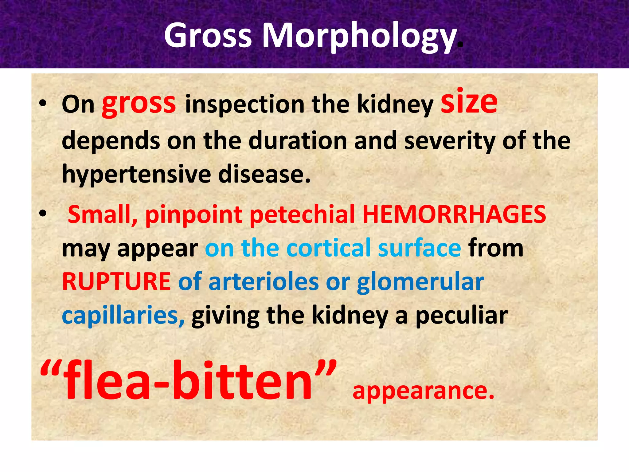 Nephrosclerosis | PPTX