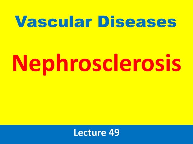 Nephrosclerosis | PPTX