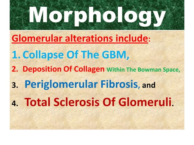 Nephrosclerosis | PPTX