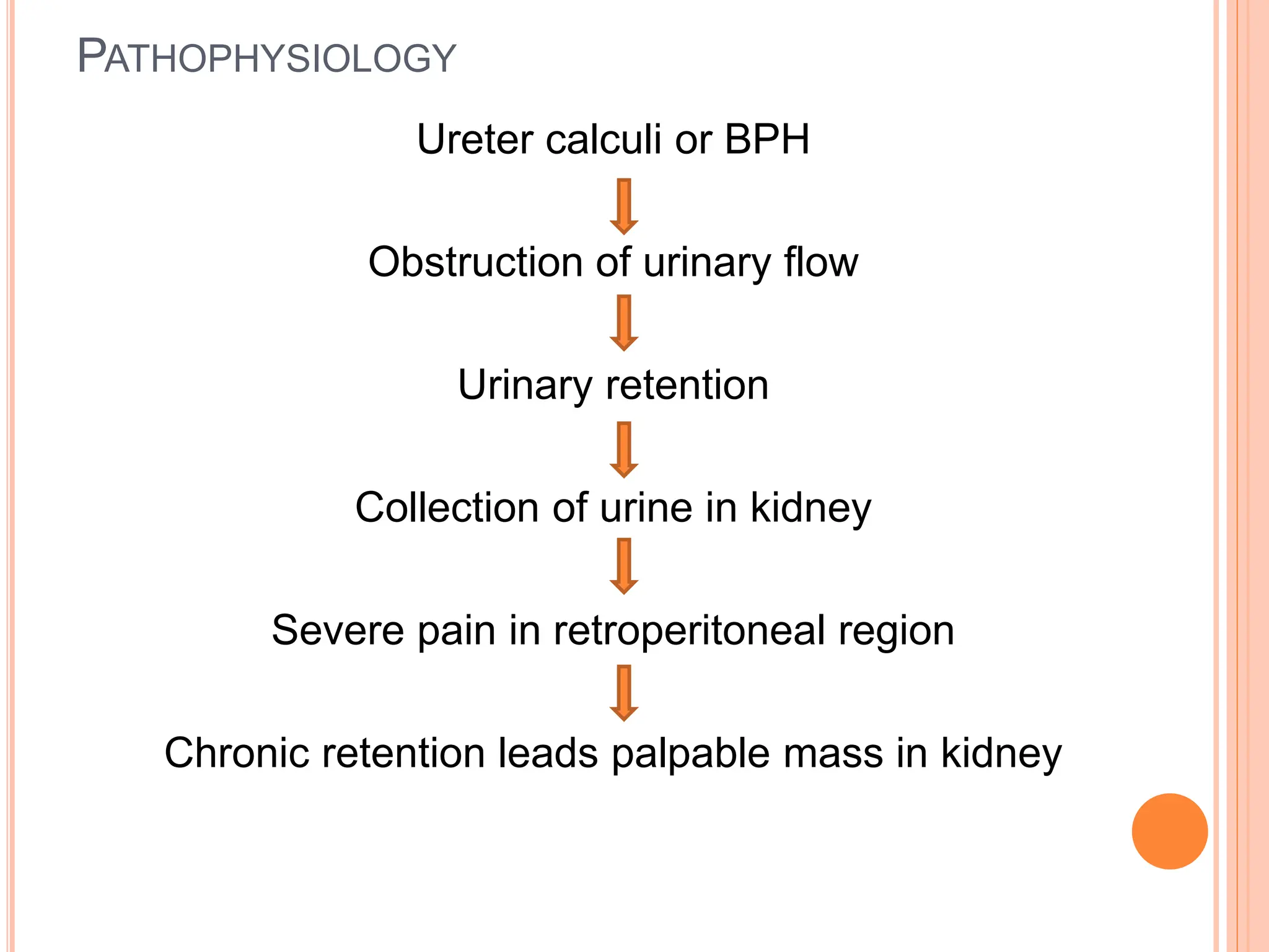 NEPHROSIS Nephrosis Nephrosis Nephr.pptx