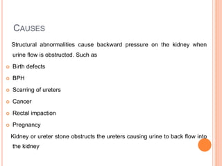 NEPHROSIS Nephrosis Nephrosis Nephr.pptx
