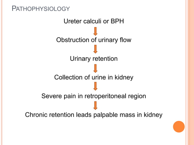 NEPHROSIS Nephrosis Nephrosis Nephr.pptx | Medical Health