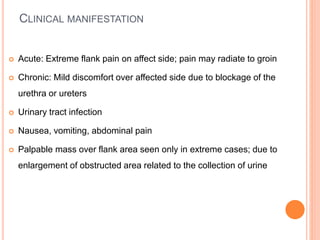 NEPHROSIS Nephrosis Nephrosis Nephr.pptx | Medical Health