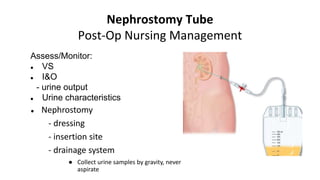 Nephrostomy tube eduaction for patiens | PPTX