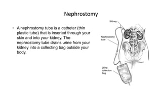 Nephrostomy tube eduaction for patiens | PPTX