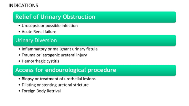 Nephrostomy tube eduaction for patiens | PPTX