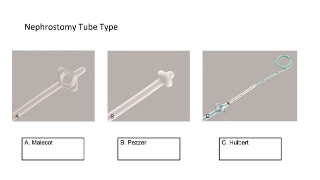 Nephrostomy tube eduaction for patiens | PPTX