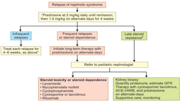 NEPHROTIC syndrome in pediatric patients | PPT