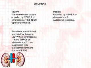 NEPHROTIC SYNDROME | PPT