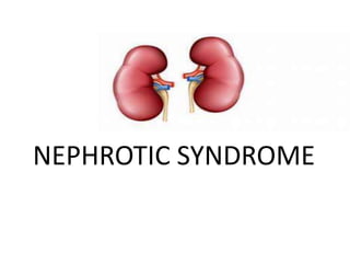 Nephrotic Syndrome | PPTX