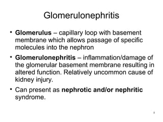 Nephrotic sy. 2_025436.pptggghfddrtfffddddd | PPT