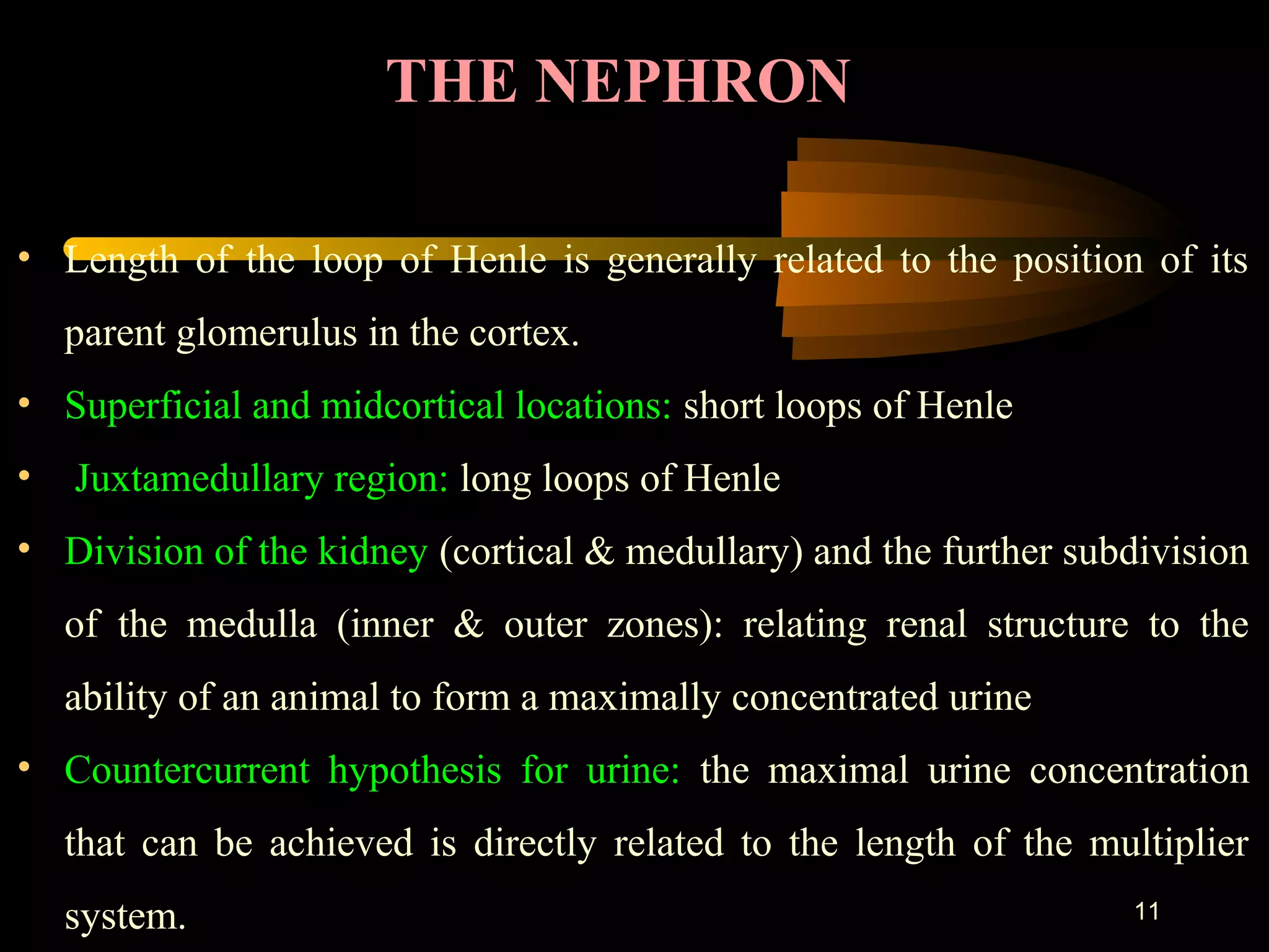 Nephrotic syndrome (Glomerulonephritis) | PPT