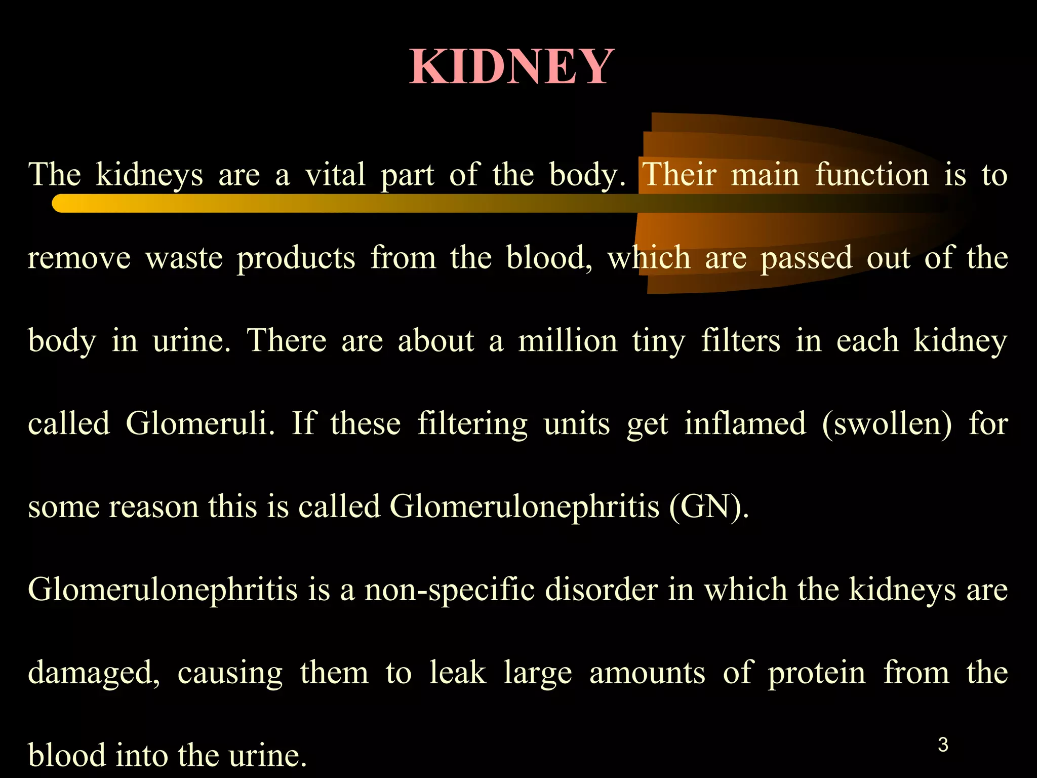 Nephrotic syndrome (Glomerulonephritis) | PPT