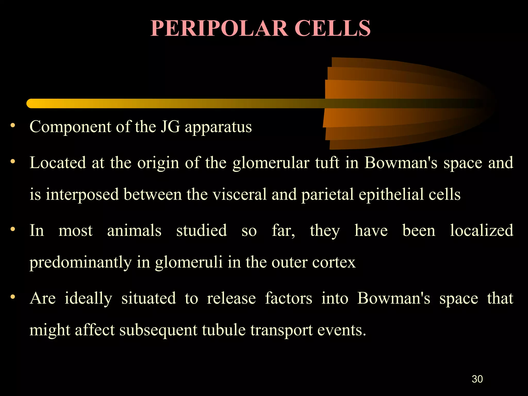 Nephrotic syndrome (Glomerulonephritis) | PPT