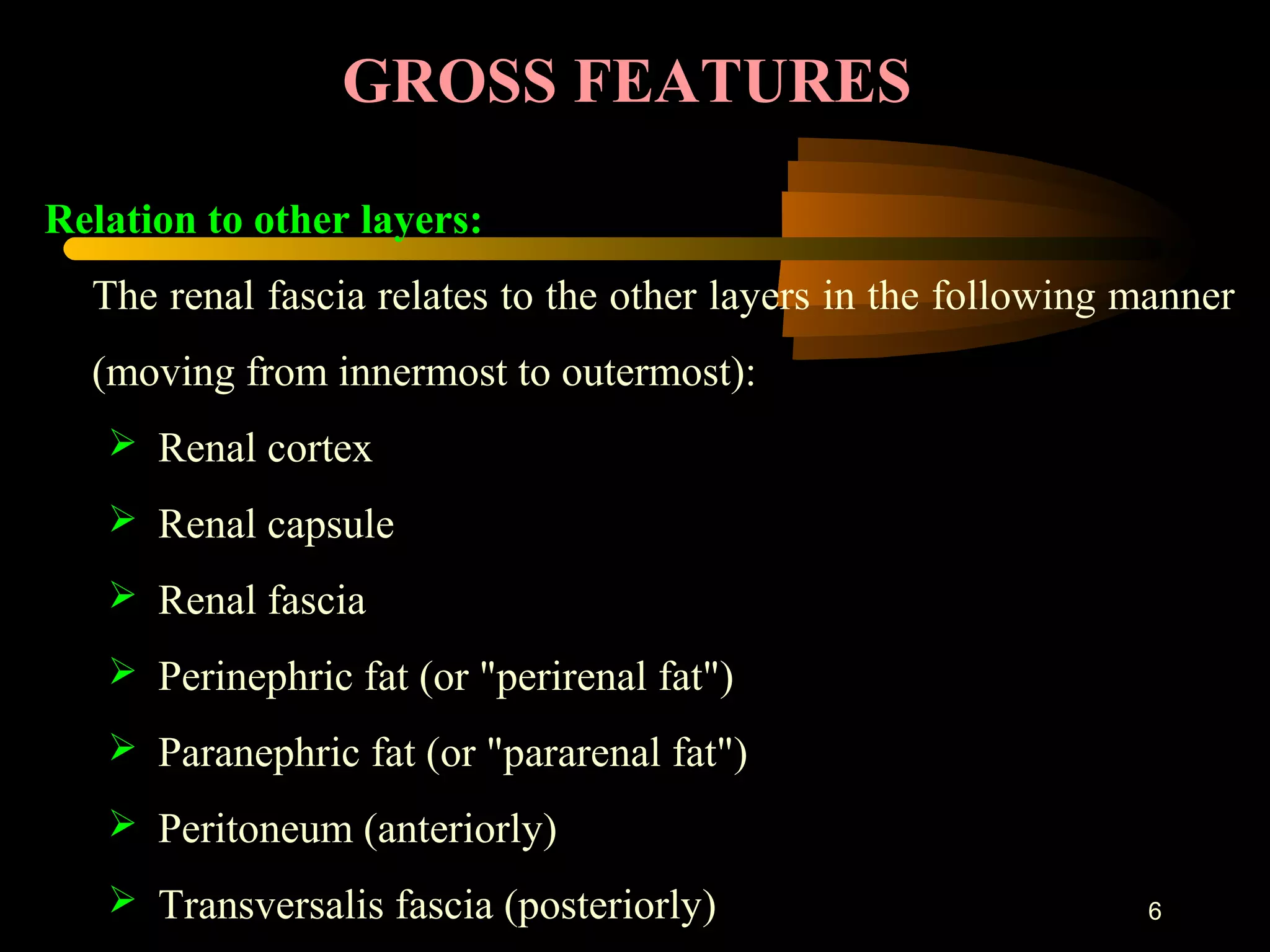 Nephrotic syndrome (Glomerulonephritis) | PPT