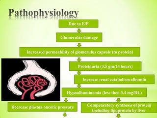 Nephrotic syndrome | PPT | Free Download
