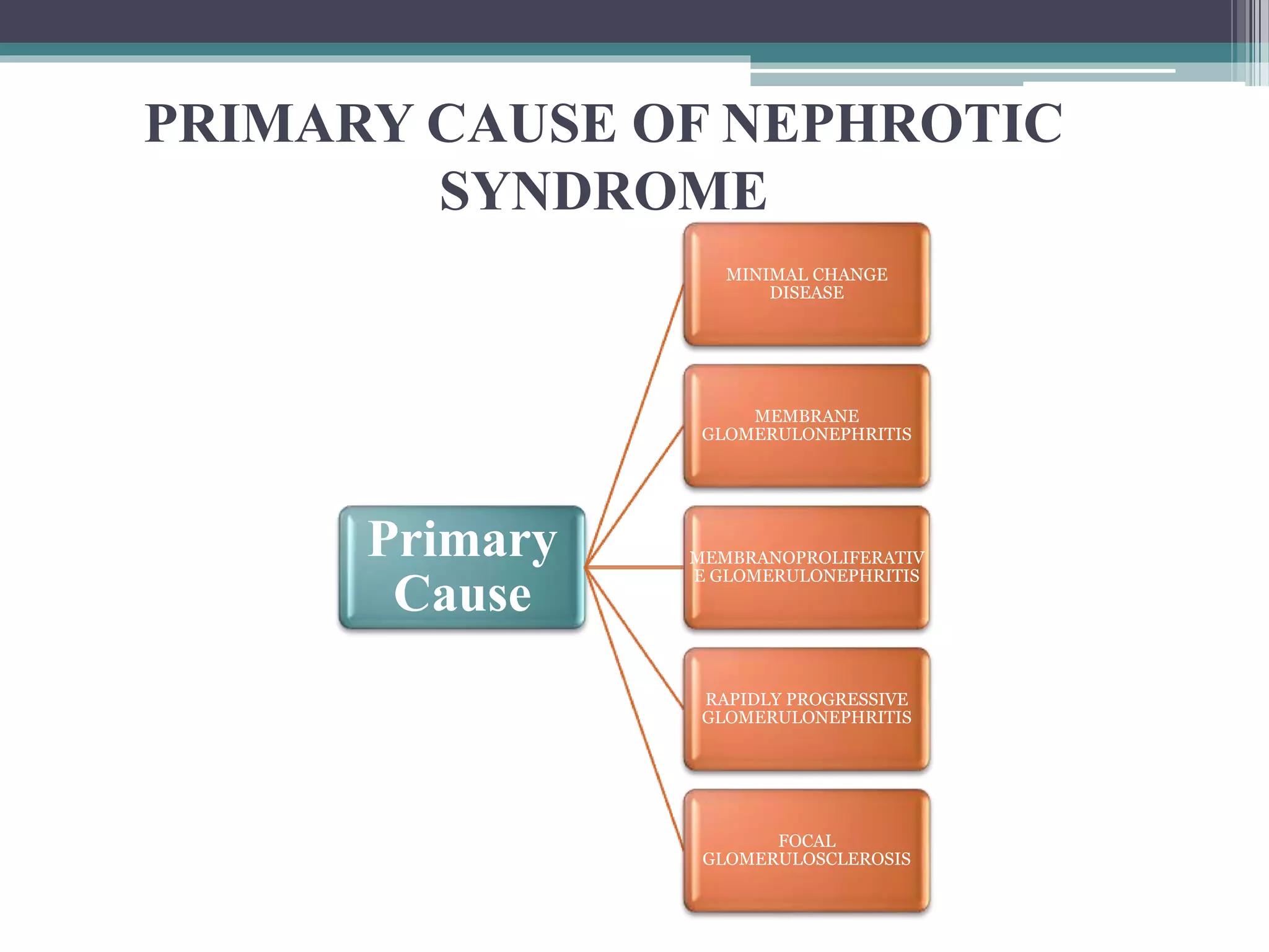 Nephrotic syndrome By Sachin Dwivedi | PPTX