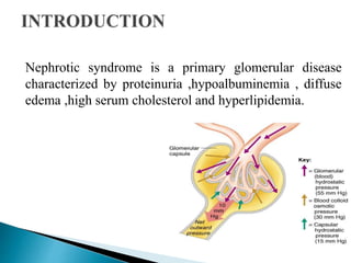 Nephrotic Syndrome | PPTX
