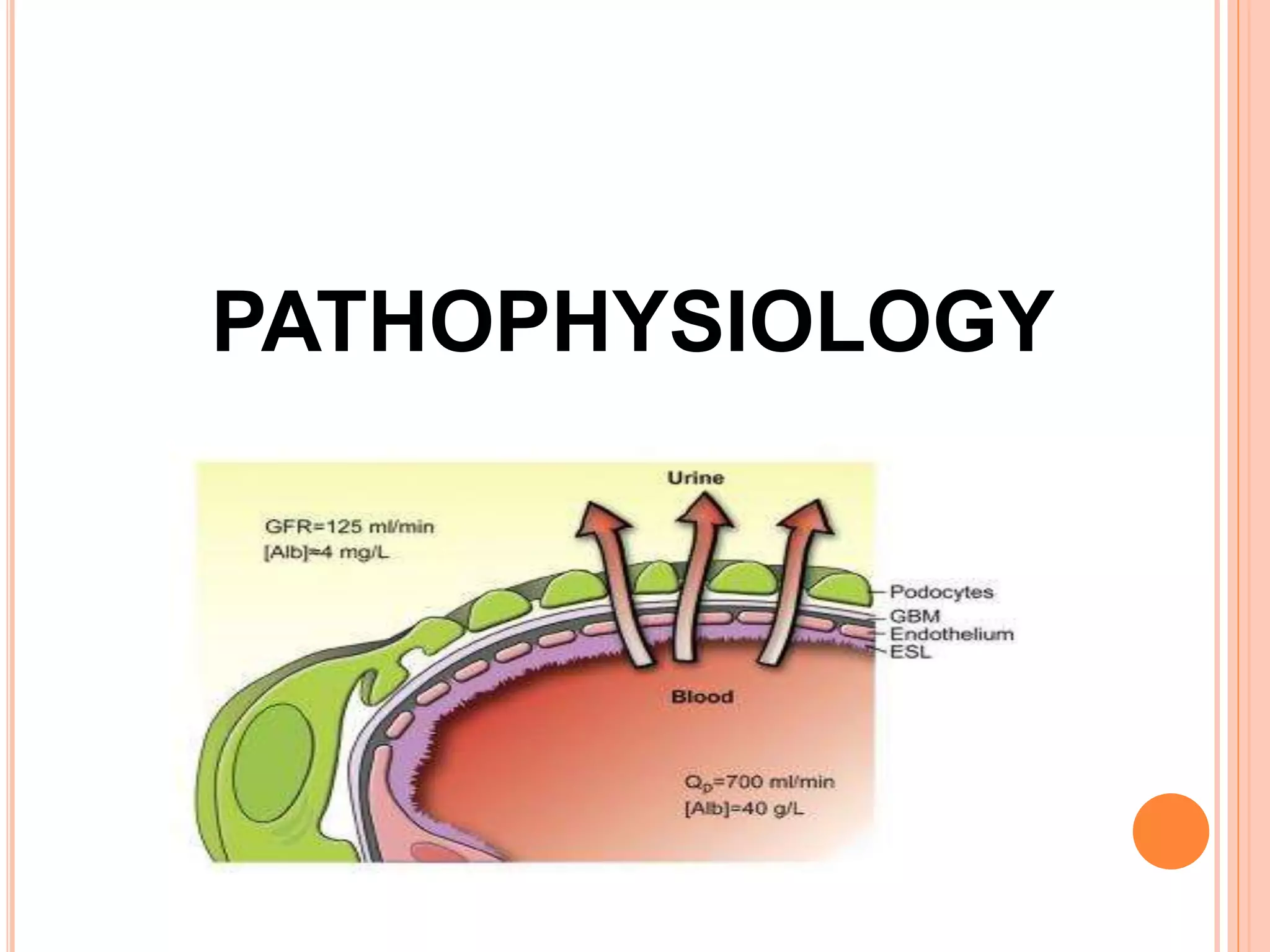 Nephrotic syndrome | PPT