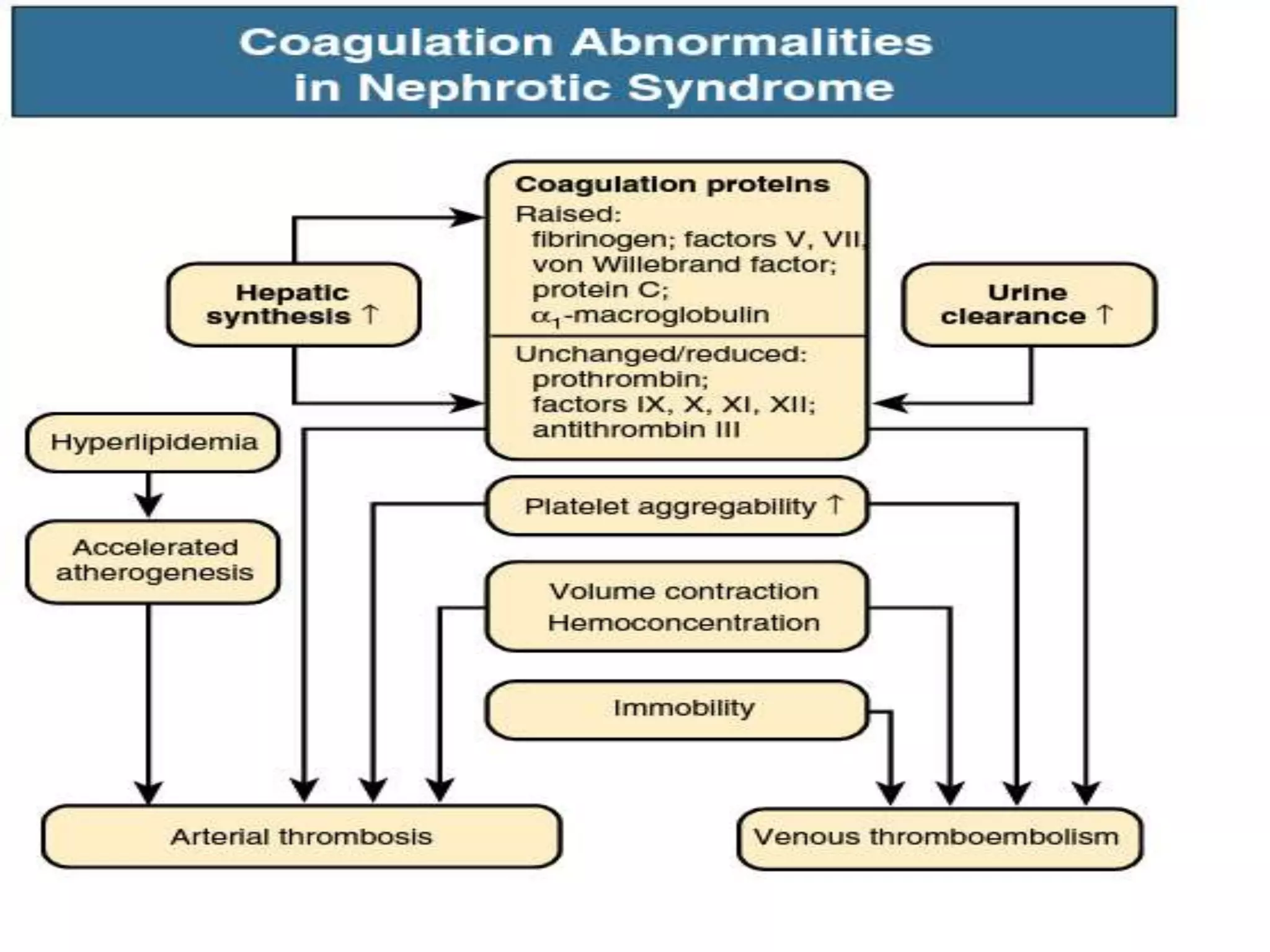 Nephrotic syndrome | PPT