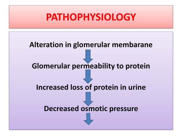 Nephrotic syndrome in children | PPT
