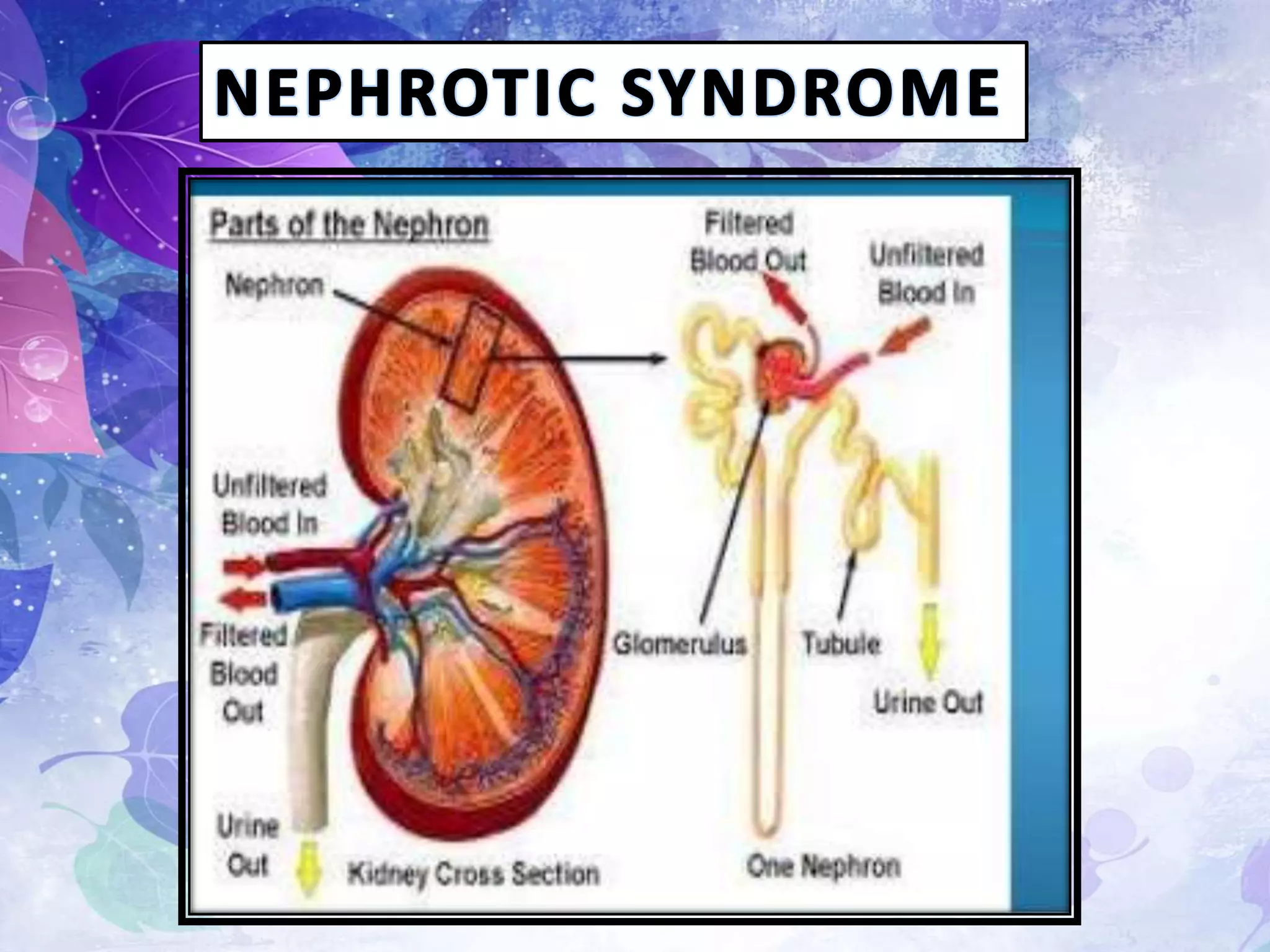 Nephrotic syndrome | PPT | Free Download