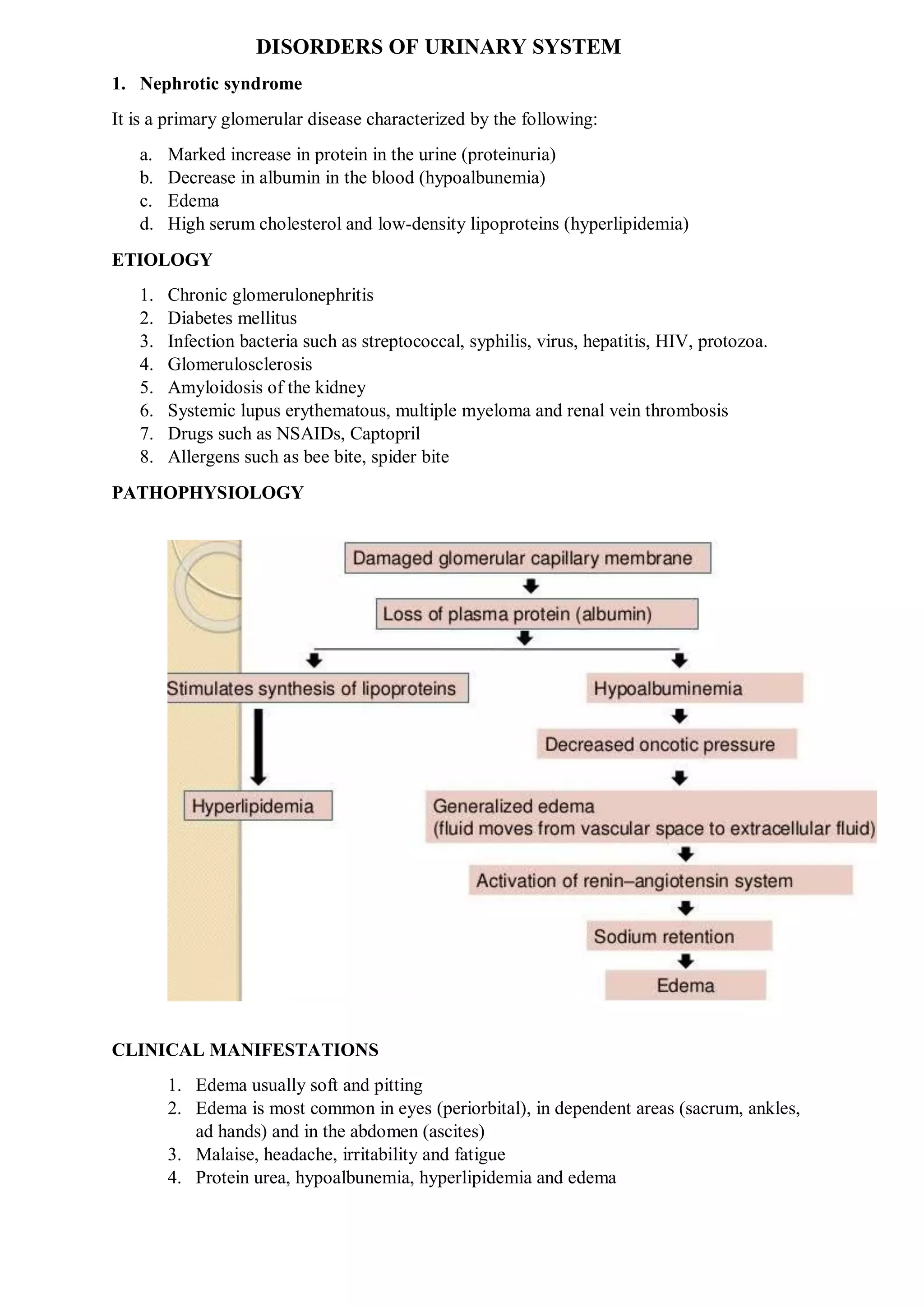 Nephrotic Syndrome Pathophysiology Flow Chart