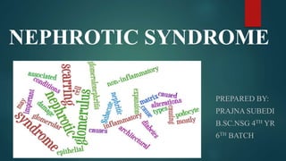 Nephrotic syndrome.pptx