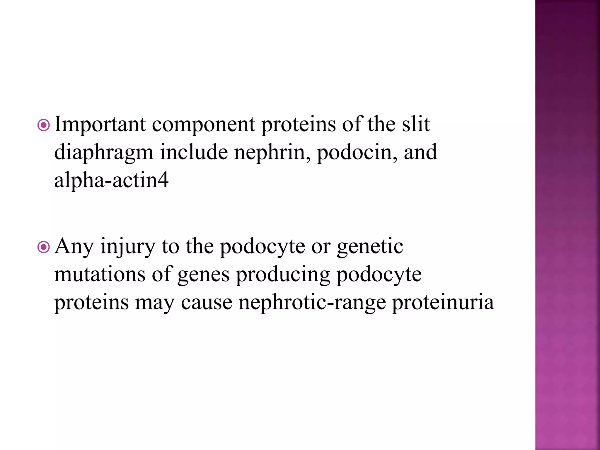 nephrotic syndrome.pptx