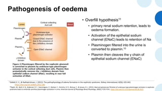 Nephrotic Syndrome.pptx